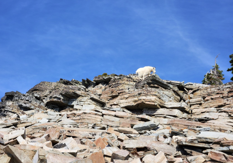 Scotchman Peak Trail - Visit Coeur d'Alene