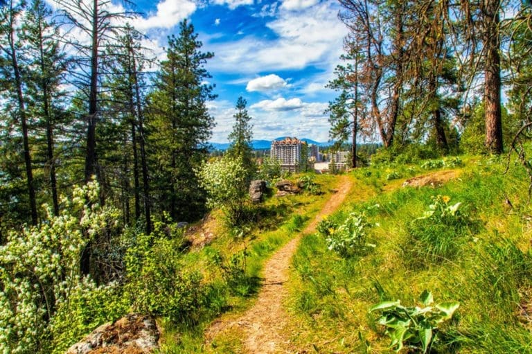 Tubbs Hill - Visit Coeur d'Alene